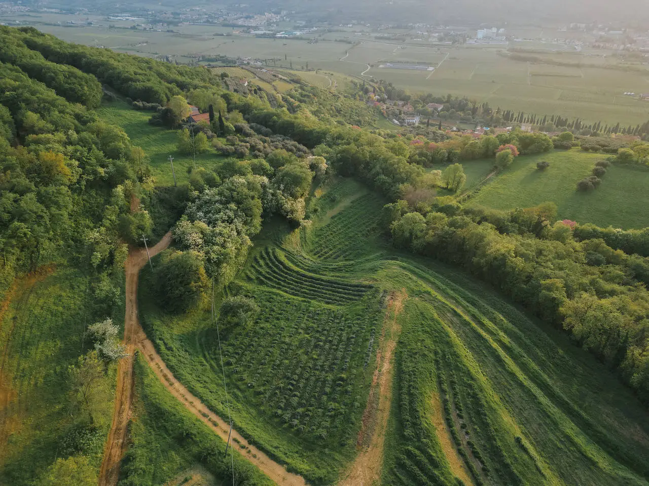 Scopri un’esperienza nella Valle degli Dei - Valpantena
