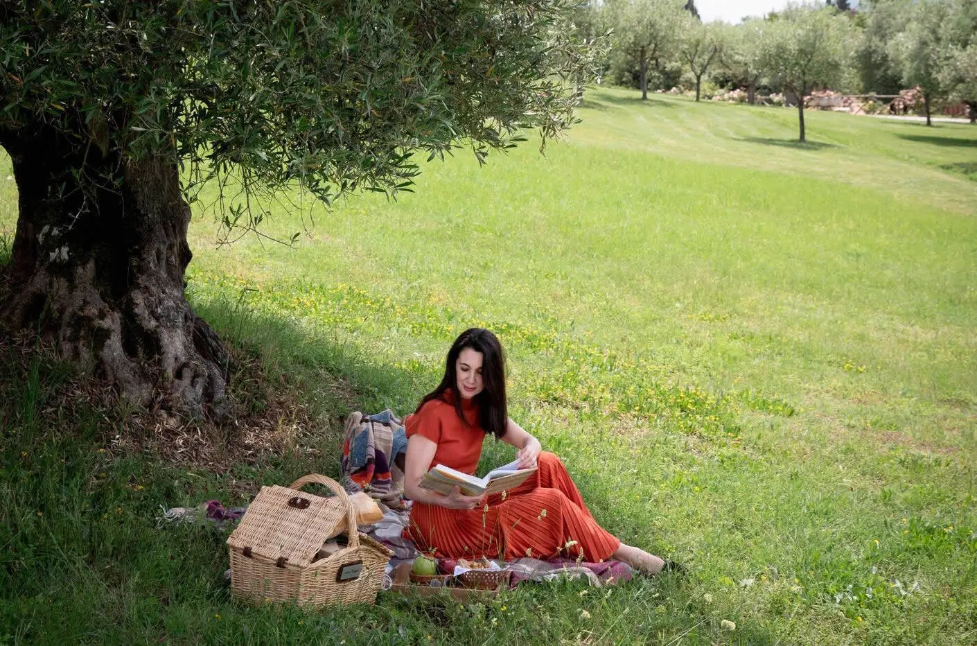 Csaba dalla Zorza | La Collina dei Ciliegi - Valpantena