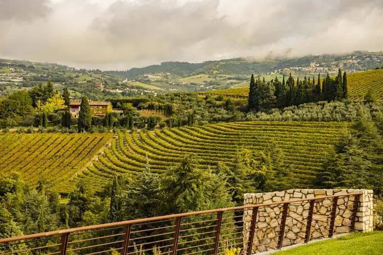 Winery Costa Arente - Valpantena