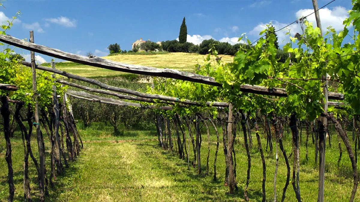 Scopri un’esperienza nella Valle degli Dei - Valpantena
