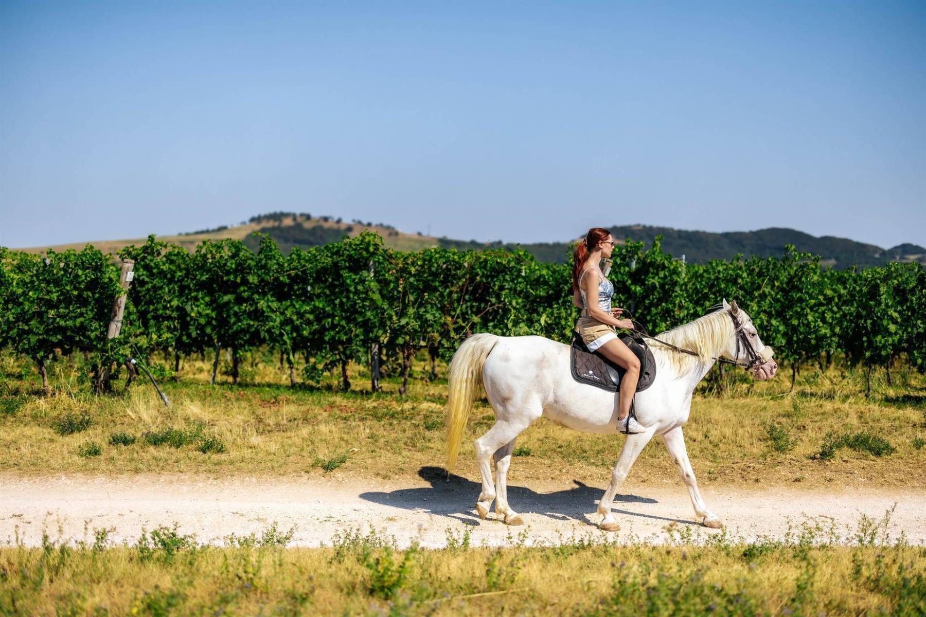 Valpantena: un’esperienza nella Valle degli Dei - Valpantena