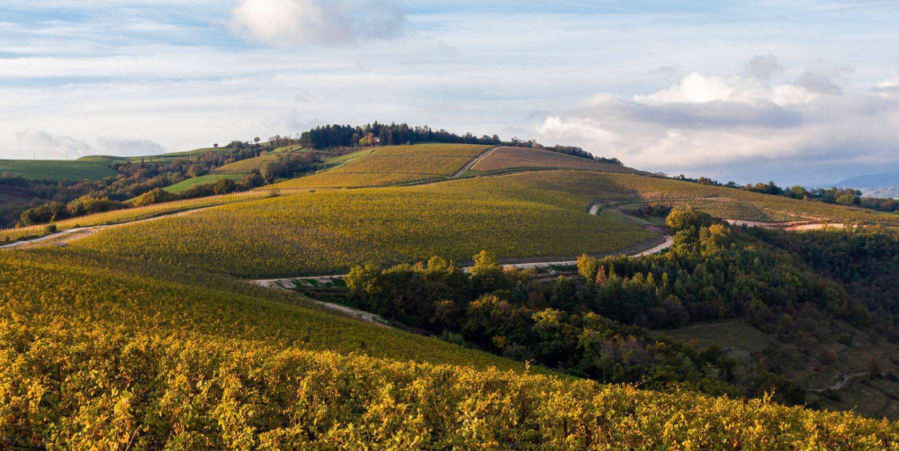 Valpantena: un’esperienza nella Valle degli Dei - Valpantena