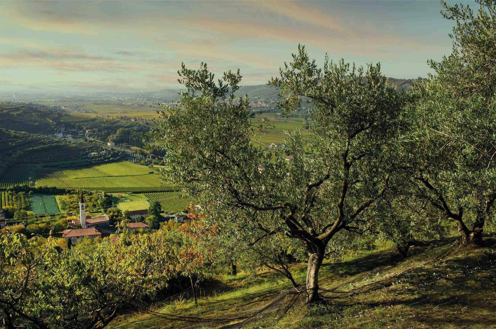 Valpantena: un’esperienza nella Valle degli Dei - Valpantena