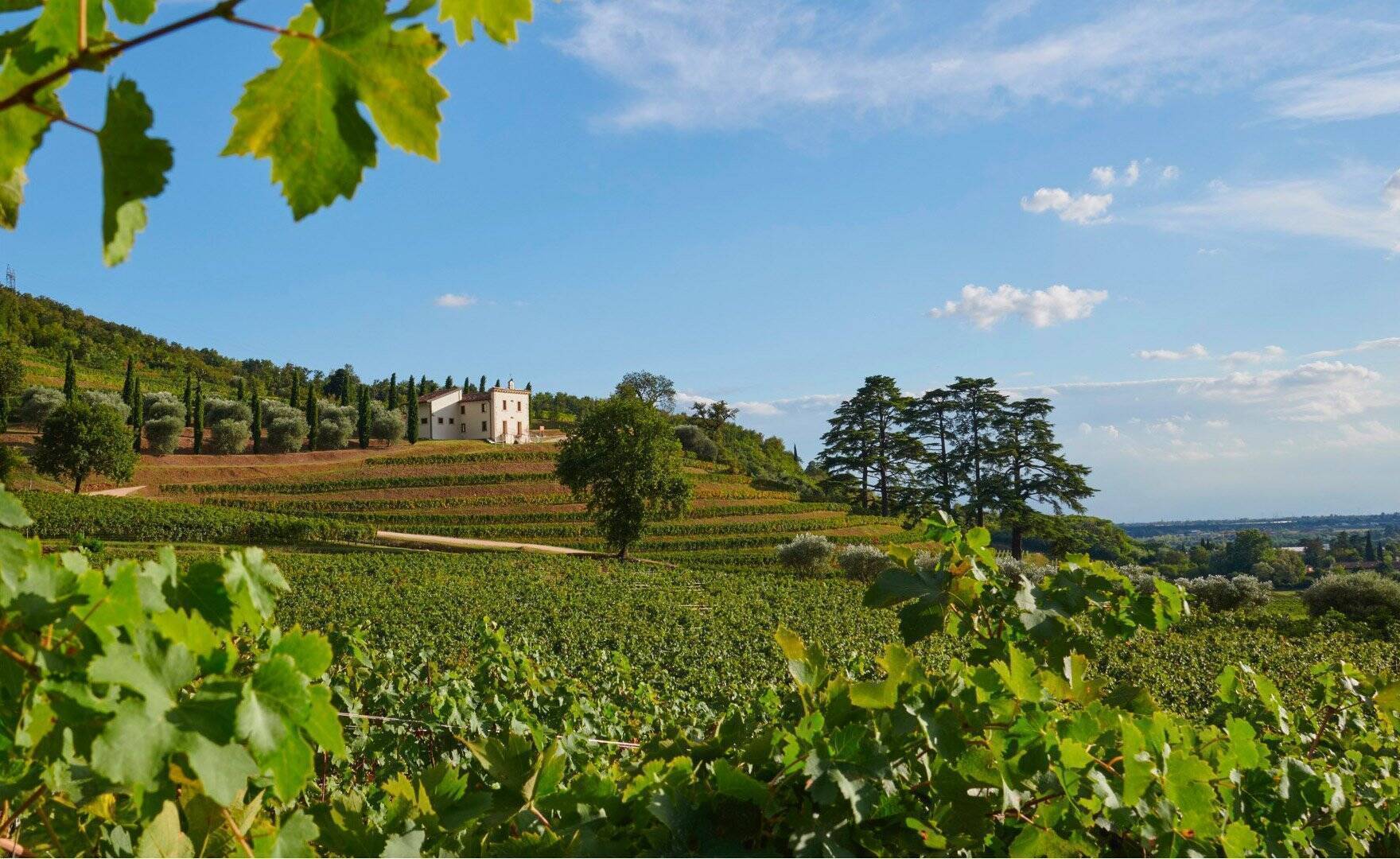Valpantena: un’esperienza nella Valle degli Dei - Valpantena